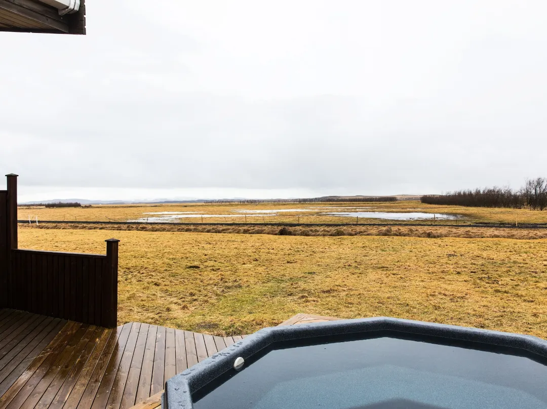 Hestakráin - Selfoss
