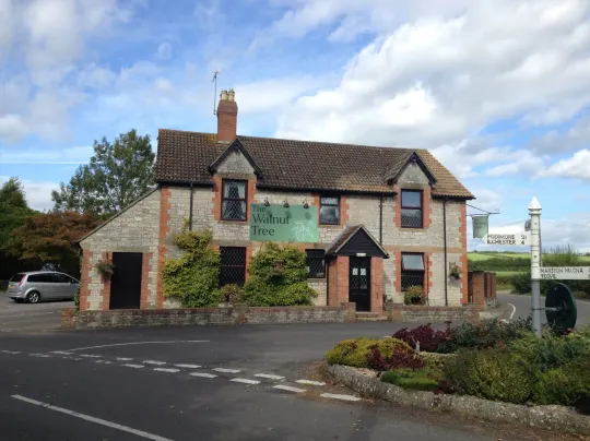 Oyo The Walnut Tree - Dorset