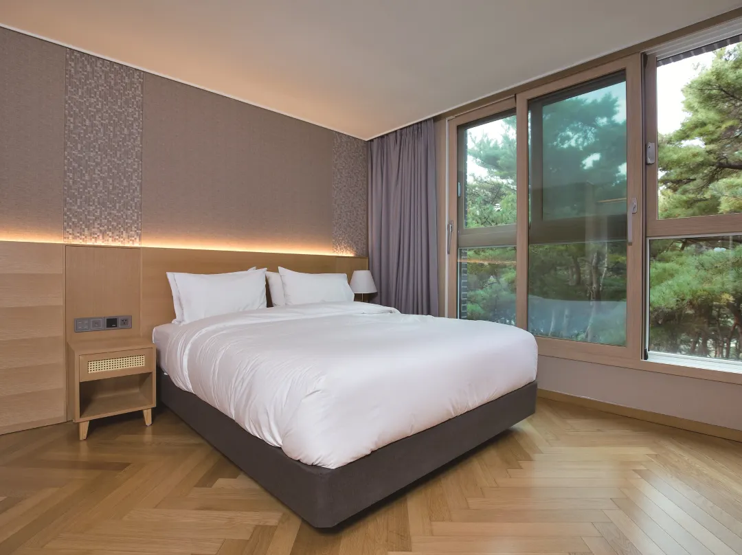 Wellness Hotel Insanga - Hadong-gun