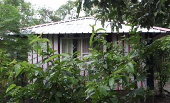 Mahua House, 2024 | Trip.com