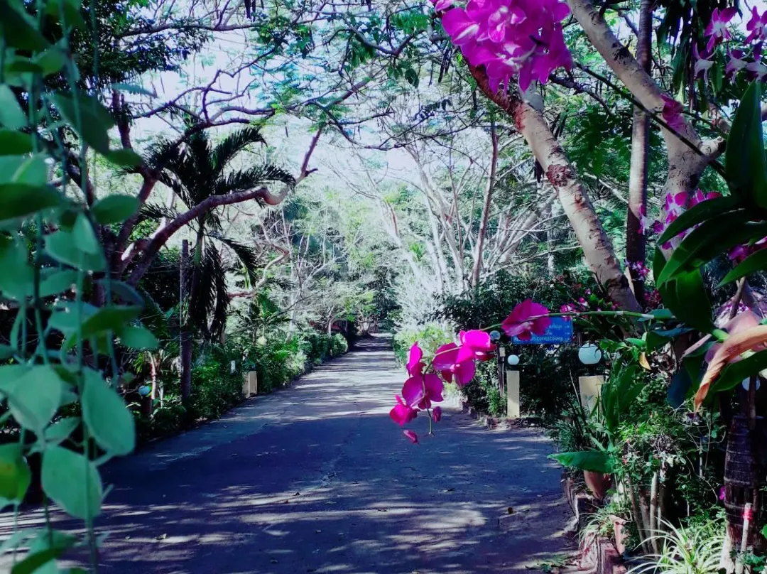 Faasai Resort & Spa - Rayong