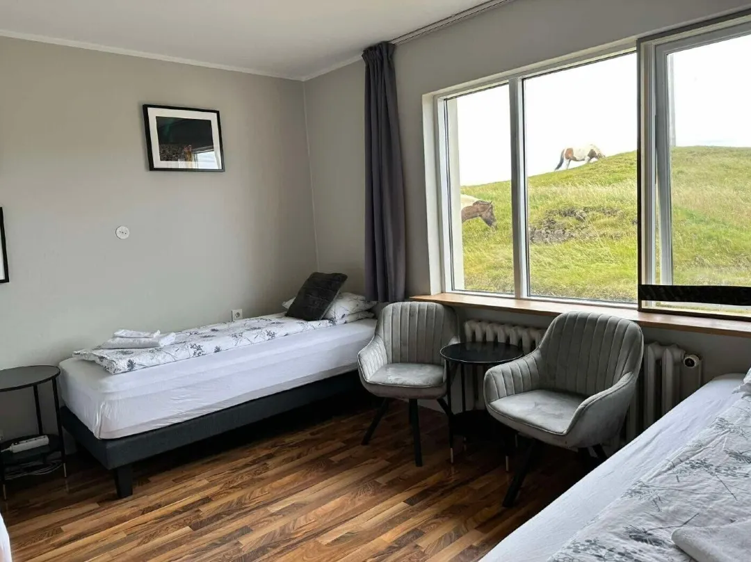 Hafnarnes - Iceland