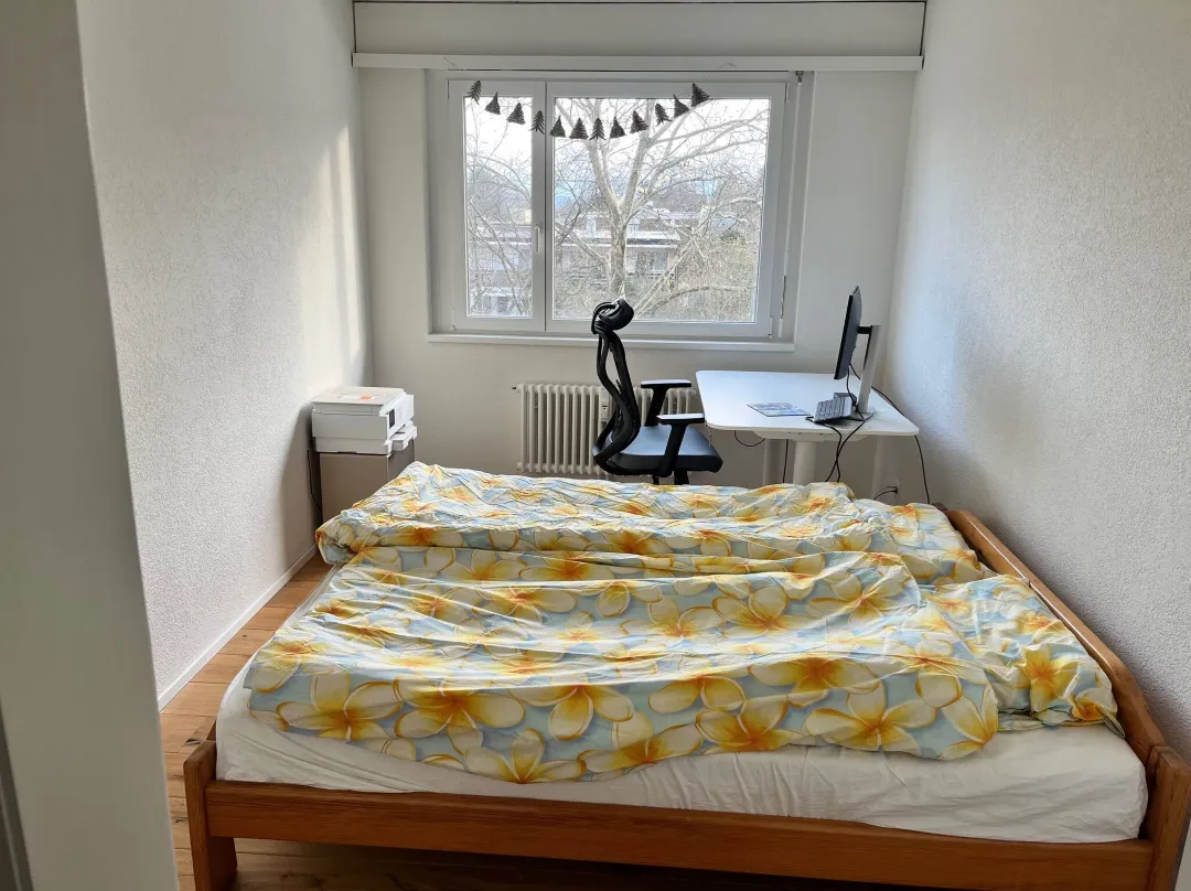 Green Basel Home - 5 Lits Avec Parking Gratuit - Basiléia