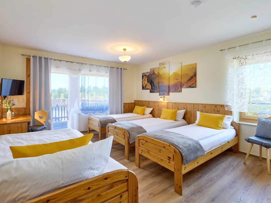 Airport-hotel Fortuna - Rhineland-Palatinate