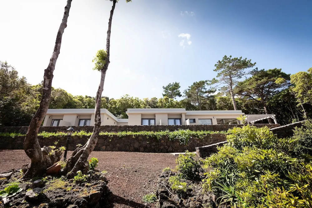 Pico Dreams - Pico Island