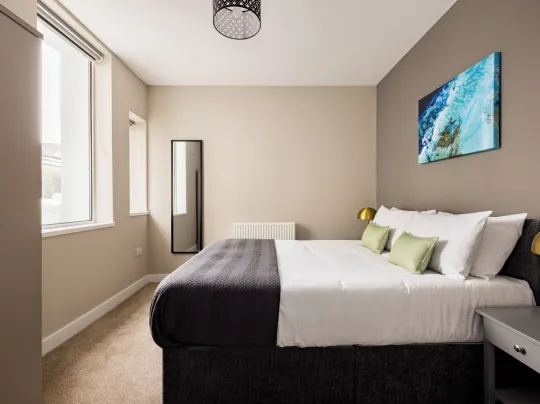 Charles Hope Plymouth - Dartmoor Forest