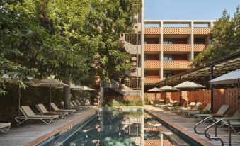 Carpenter Hotel (Austin) - 2026 Prices, Reviews & Deals | Trip.com