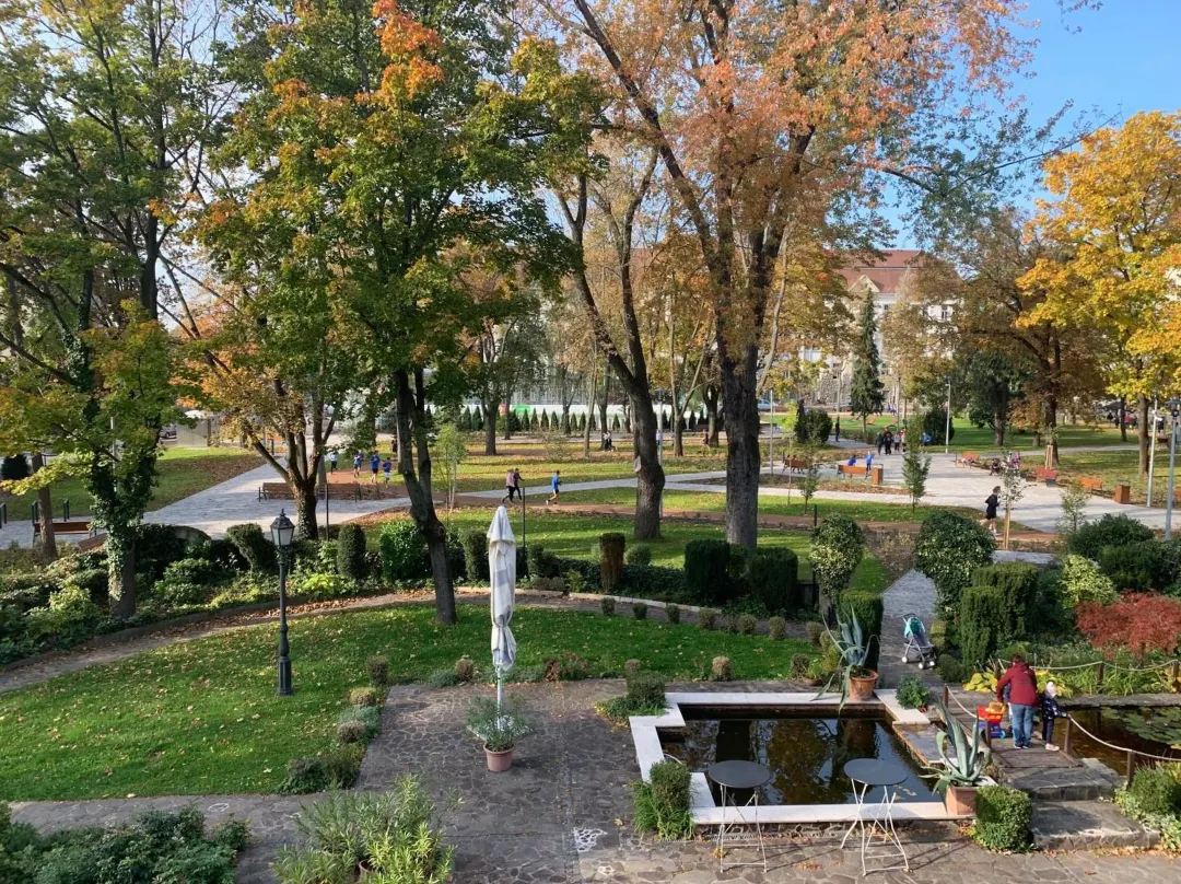 Golden Ball Club - Győr