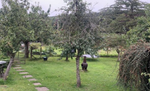 2-Bed Cabin Sleeps 4 -Small Pets Ok -Free Parking, Llansannan - Latest ...