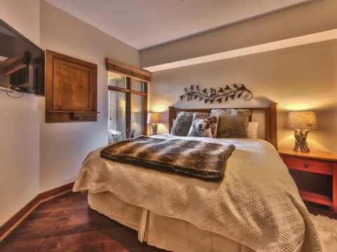 Best Location, Larger Upgraded 1 Bedroom, Pool, Ski In Ski Out C104 - Snowbird, UT