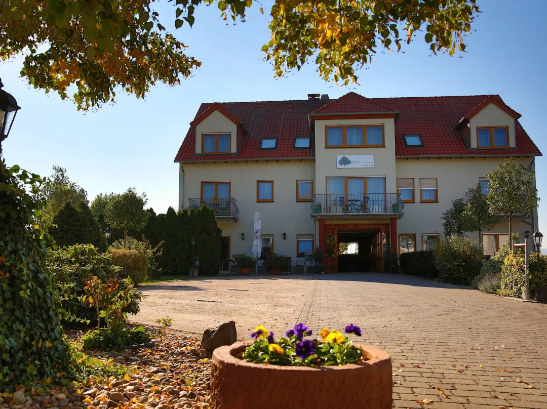 Fetzers Landhotel - Bingen am Rhein