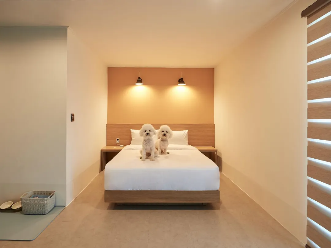 Doglia Hotel - 속초시
