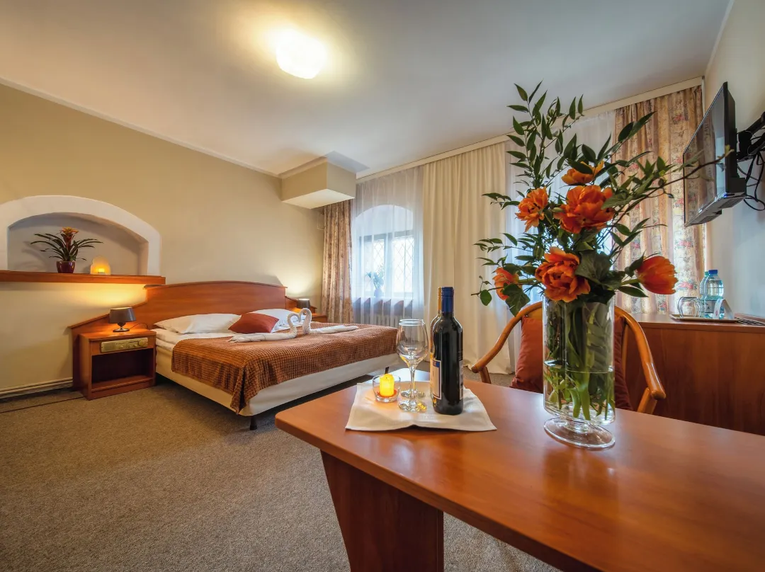 Hotel Gromada Toruń - Toruń