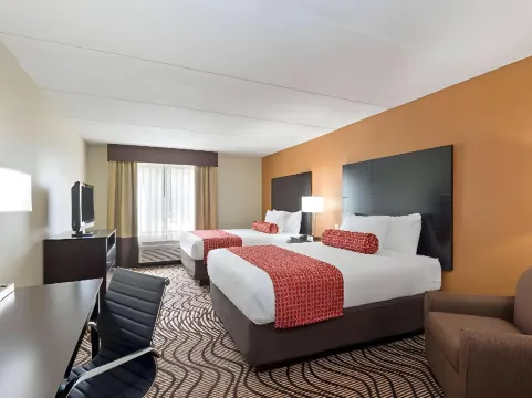 Comfort Inn & Suites Tampa North I-75 - Tampa, FL