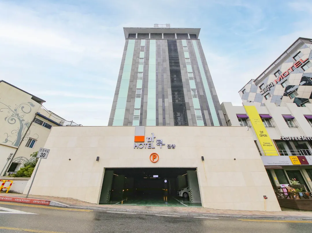 Hotel Maru Danyang - Gumi-si