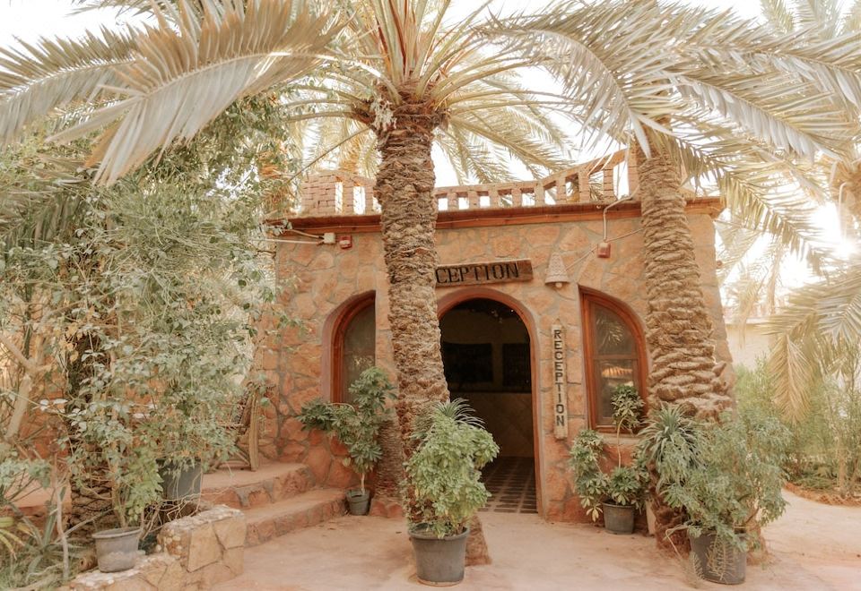 Siwa Safari Paradise Hotel,Siwa Oasis - Updated Prices & Hotel Reviews ...