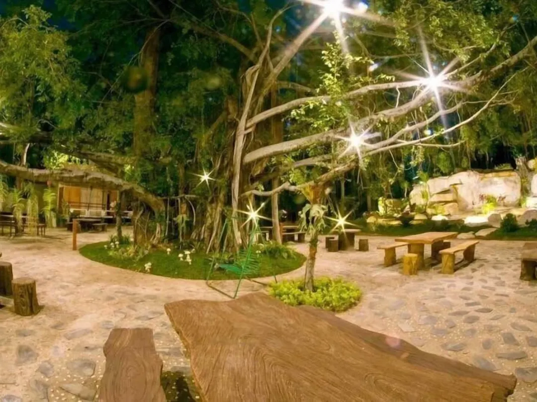 Forest - Roi Et