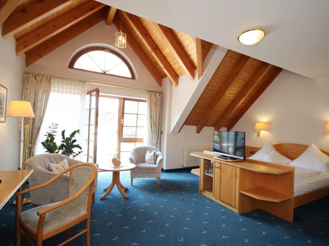 Hotel-restaurant Hirsch - Offenburg