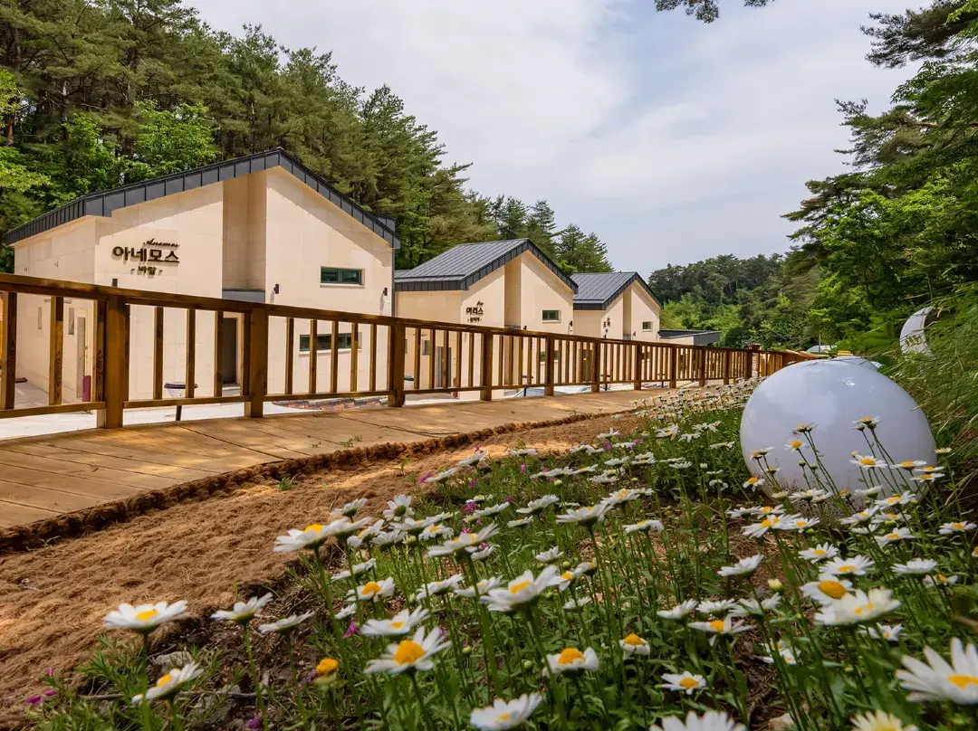 Gangneung Adeline Poolvilla - Gangneung-si