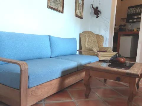 Vivienda Vacacional Rústica Con Terraza Pequeña En El Patio - Icod de los Vinos