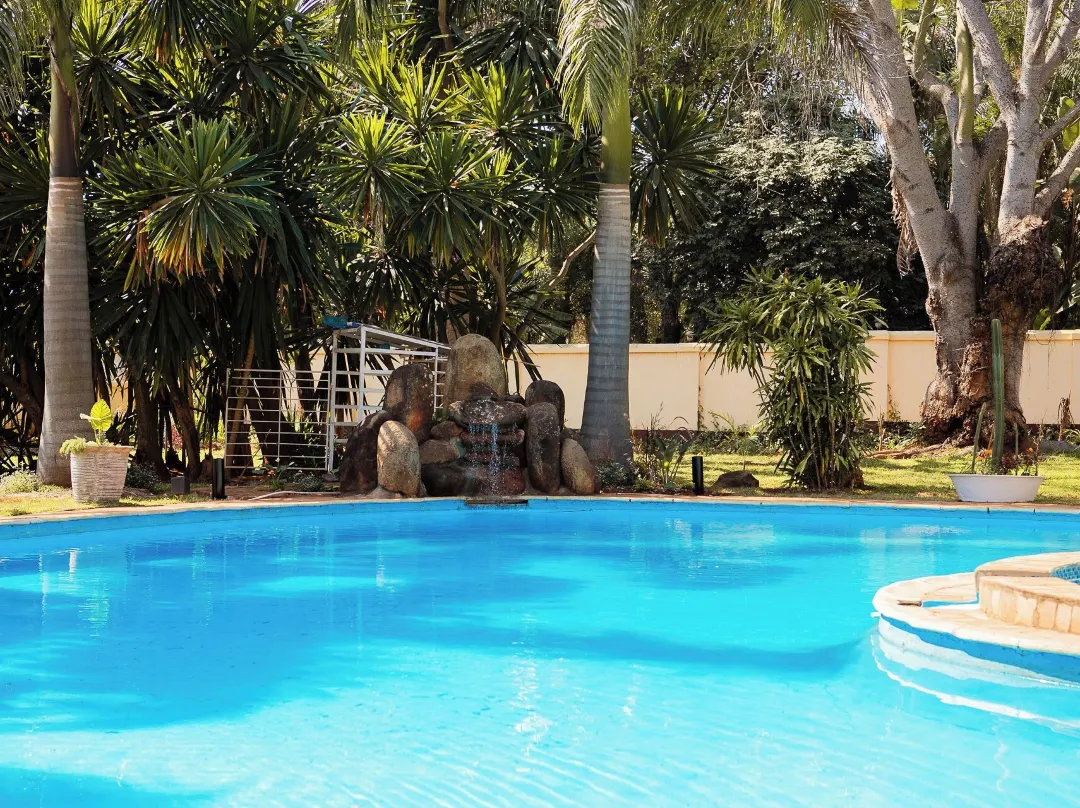 Golden Palm Boutique - Harare