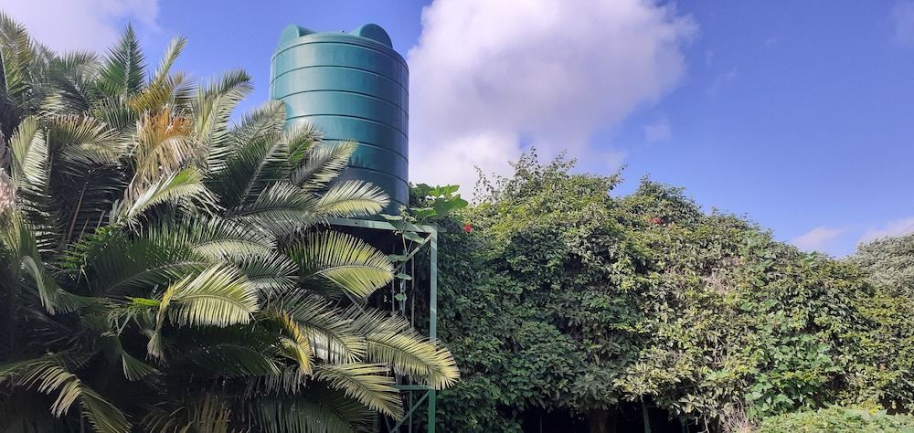 The Best Green Garden Guest House In Harare - Harare