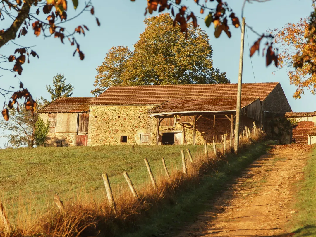 Forest Hideaway In Saint-caprais - Lot