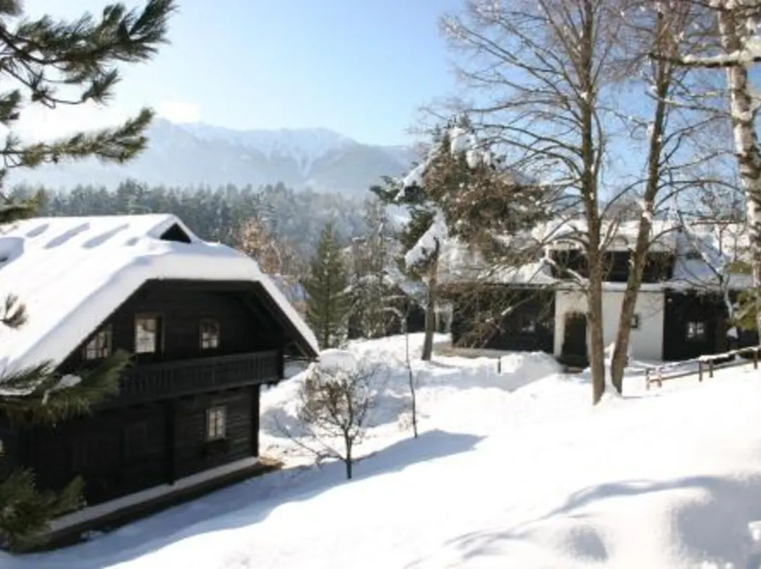 Naturel Hoteldorf Schönleitn - Carinthia