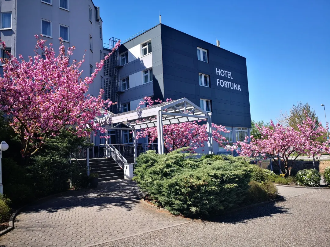 Hotel Fortuna Reutlingen-tübingen - Reutlingen