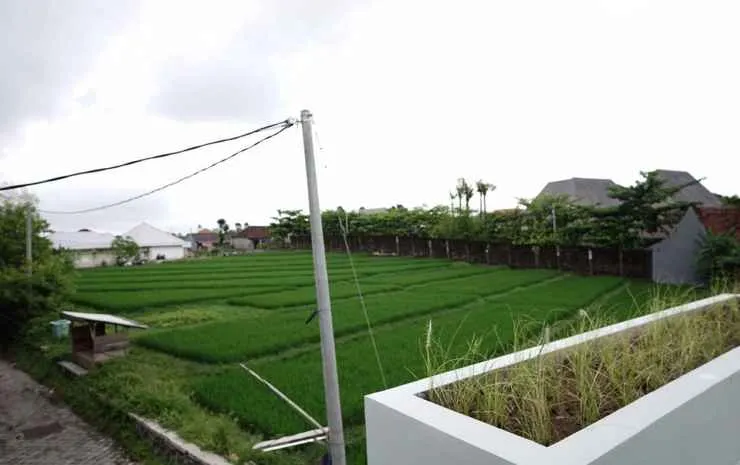 The Cendana Umalas - Canggu