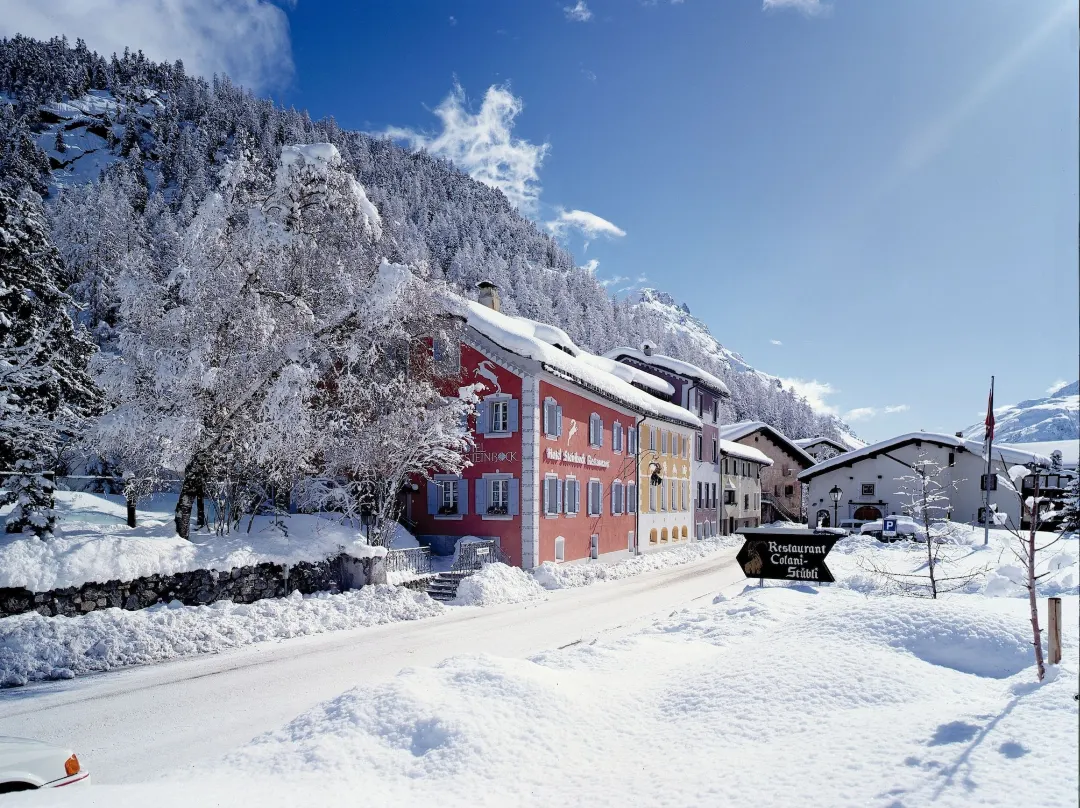 Hotel Steinbock Pontresina - Pontresina
