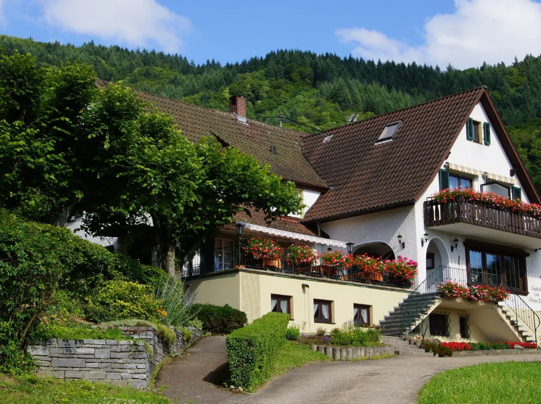 Landgasthof Grüner Baum - Müllheim