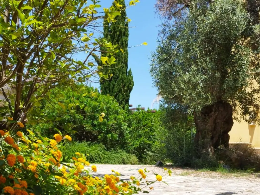 Bhb Hotel - Manduria
