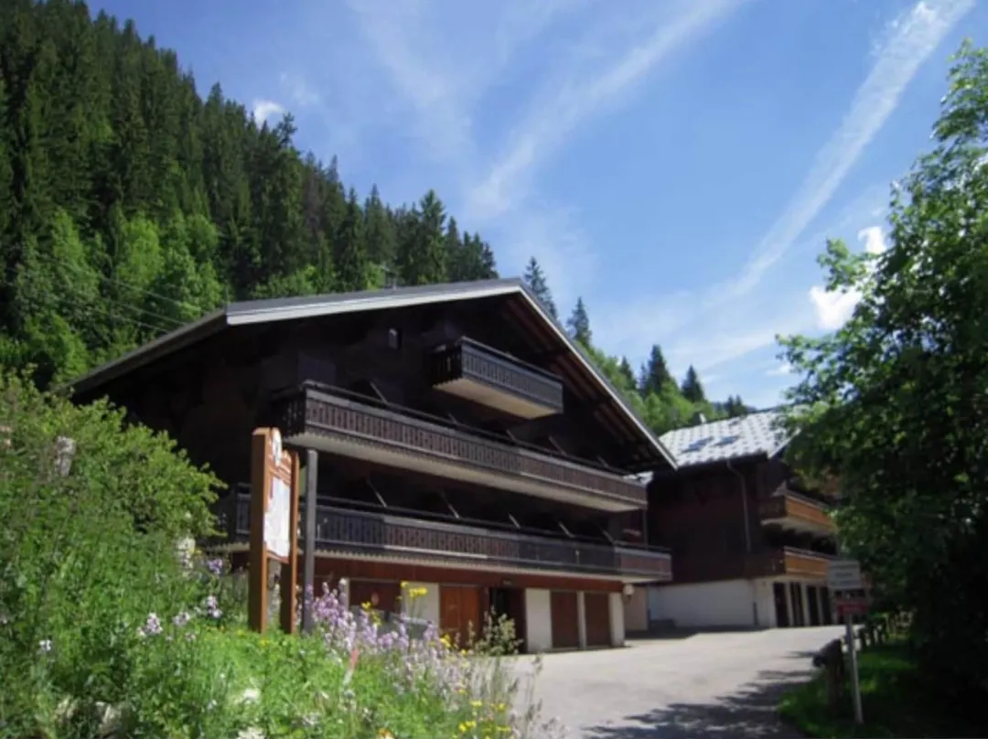 Apartment In Chatel With Ski-locker - Châtel