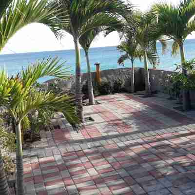 Latest Golden Shore Resort Map,Address, Nearest Station & Airport 2024 ...