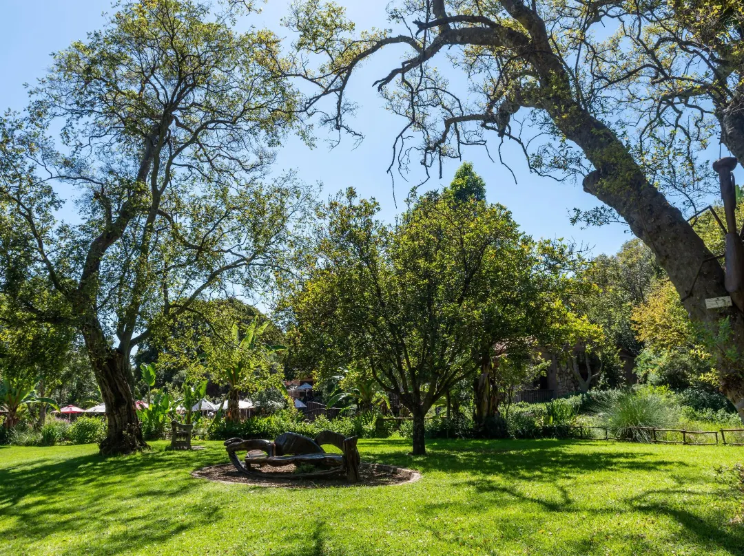 Blackheath Manor Guest House - Sandton