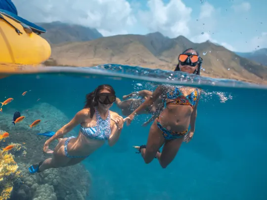 Stunning Ocean And Mountain Views - Exquisite Hawaiian Retreat - Maui, HI