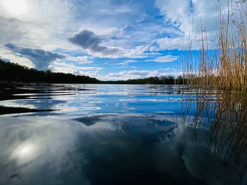 Haus Waldidyll Am See 1 - 布蘭登堡