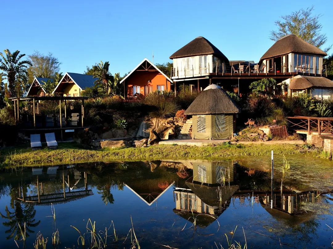 Addo Dung Beetle Guest Farm - Western Cape