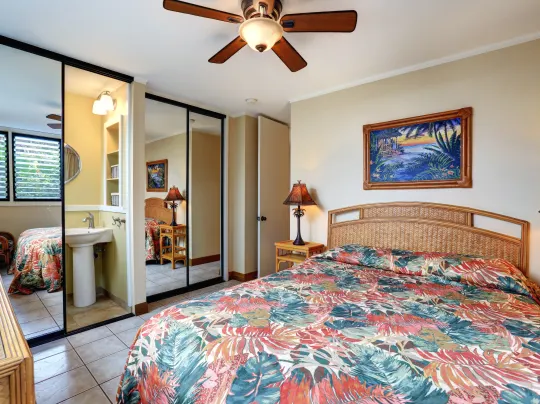 Oceanfront Paradise - Snorkeling, Surfing, Spa, Scenic Views - Lahaina, HI