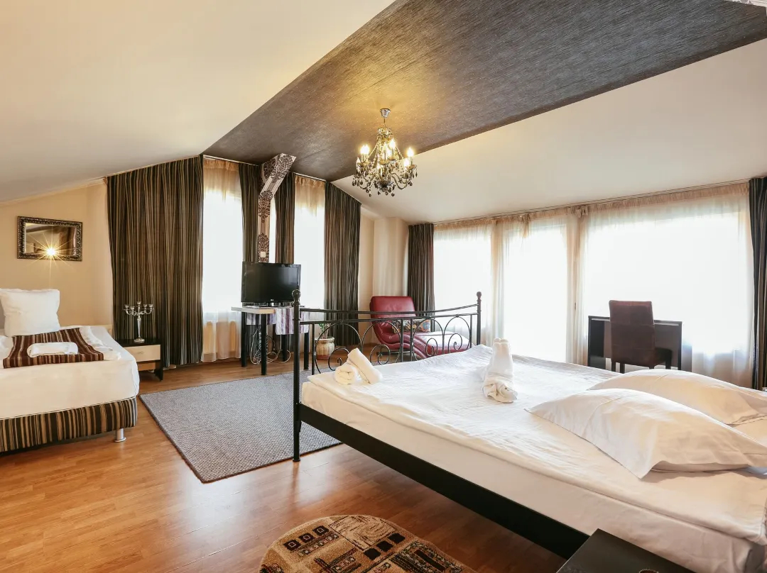 Pensiunea Vidalis - Cluj-Napoca