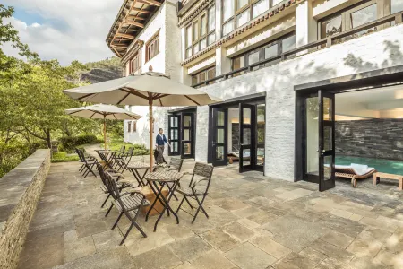 Como Uma Paro Reviews: 42 Verified Reviews Latest 2025 | Trip.com