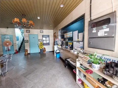 Uljin Baekam Orange - 울진군