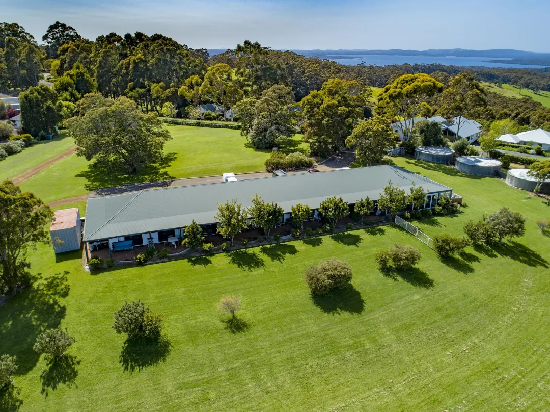 Karri Aura - Western Australia