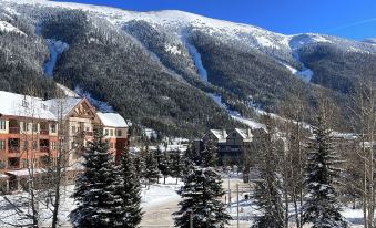COPPER SKI MOUNTAIN EAST VILLAGE, PET FRIENDLY, VIEWS of SKY CHUTES ...