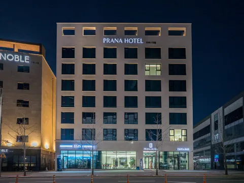 Daegu Hyeonpung Prana Hotel - Daegu