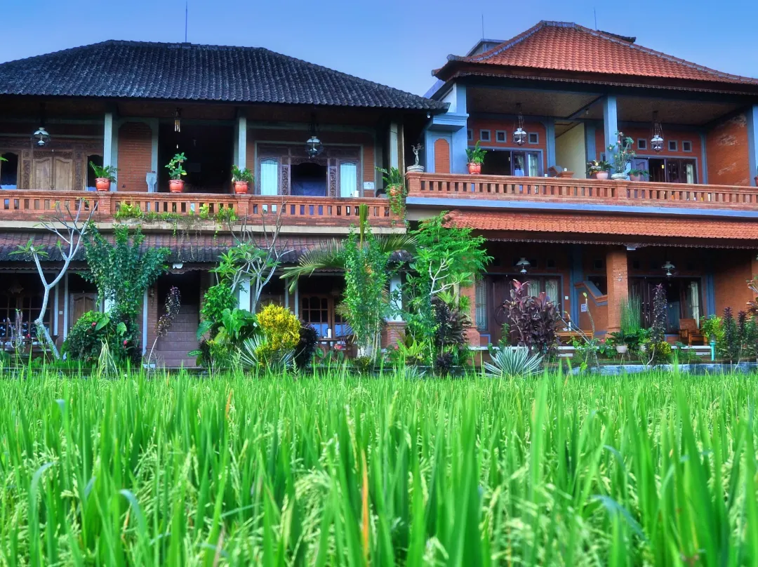 Danasari Homestay - Bali