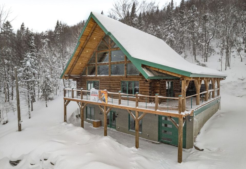 Arborum North Forest | Logs, spa, ski, pool table and slope views ...