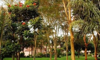 Villa Amor, Tshwane - Harga & Promo Terbaru 2026 | Trip.com Indonesia