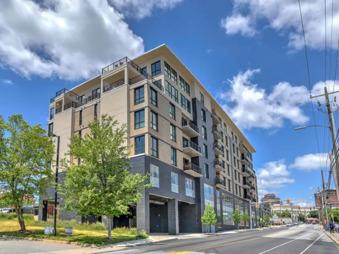 Your Downtown Asheville Pet-friendly Oasis - Sierra Nevada